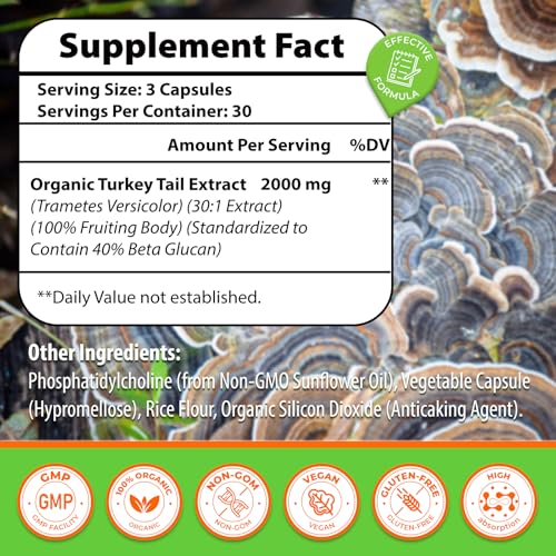 Non-GMO turkey tail mushroom capsules