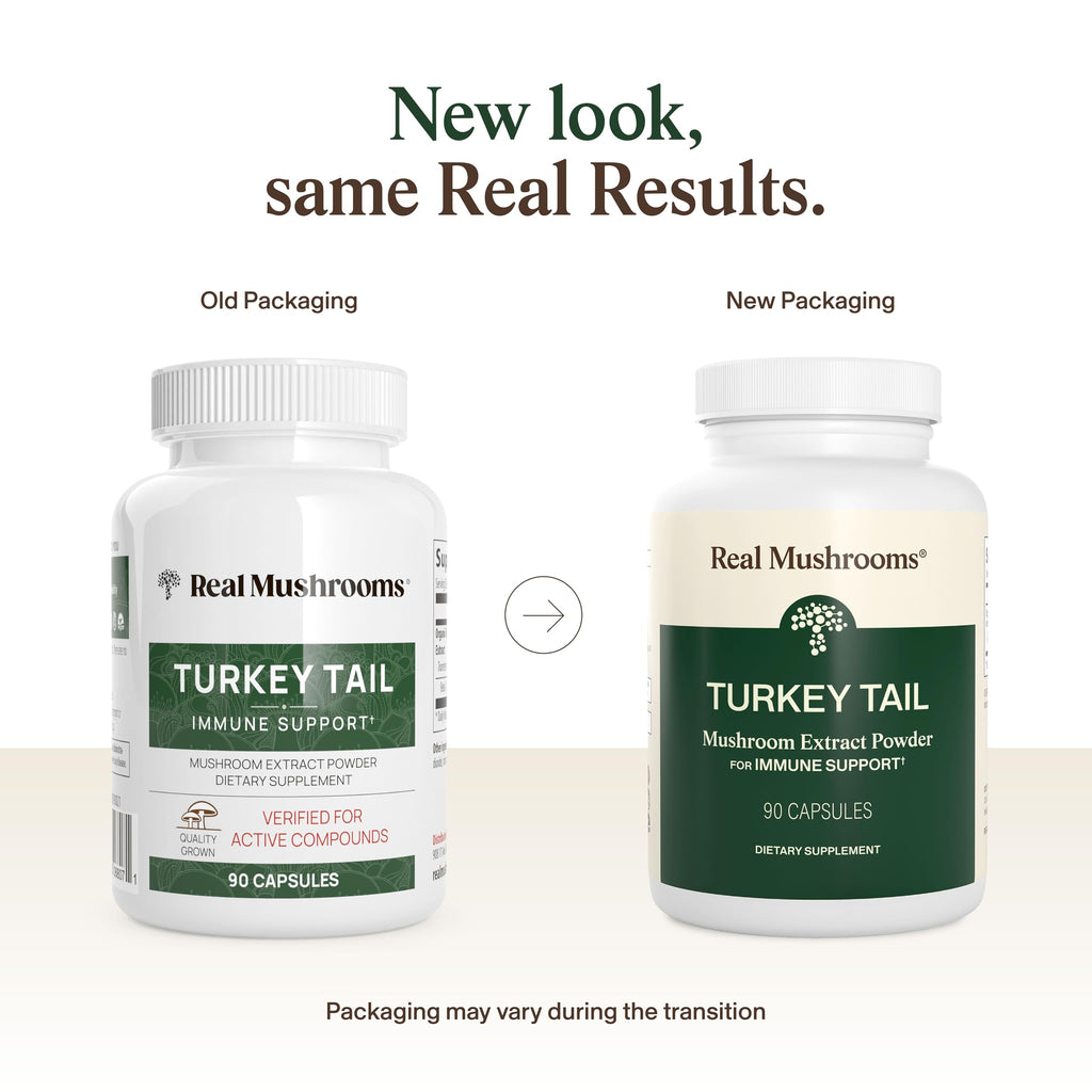 non-GMO turkey tail mushroom extract