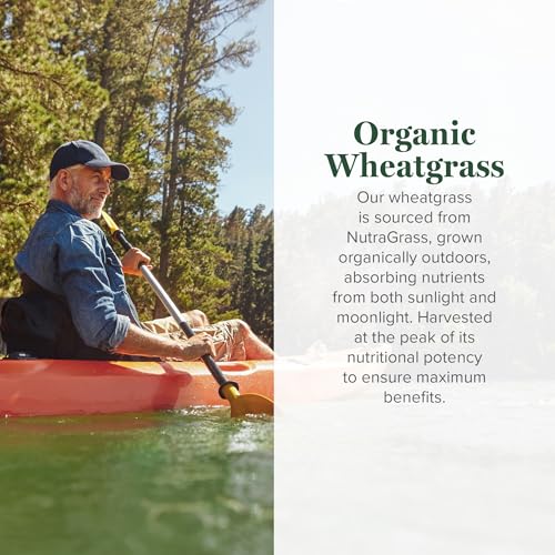 non-GMO wheat grass powder