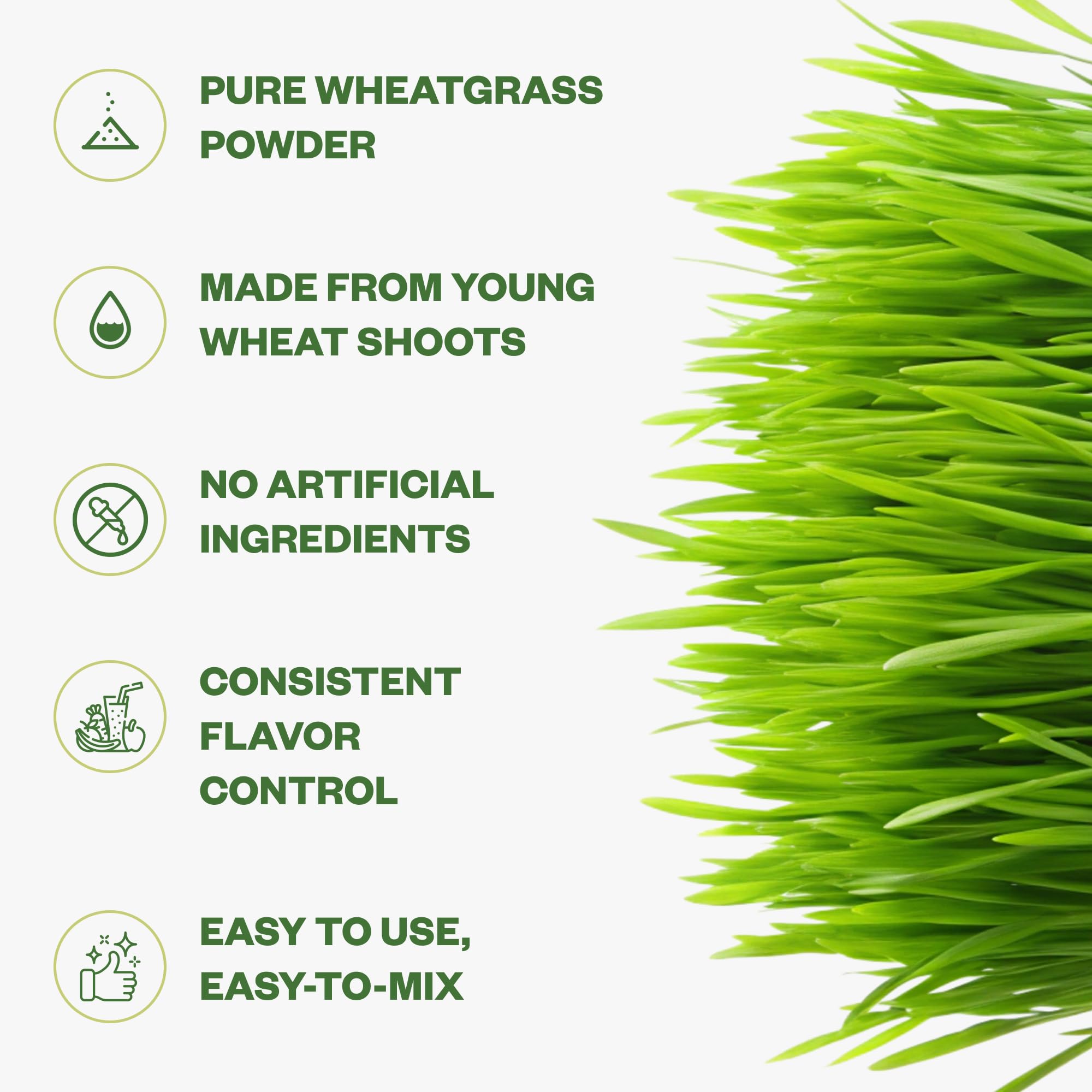 Non-GMO wheatgrass powder benefits