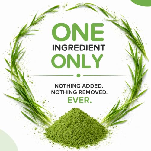 non-GMO wheatgrass powder for natural energy