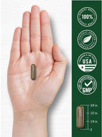 non-GMO wild lettuce extract