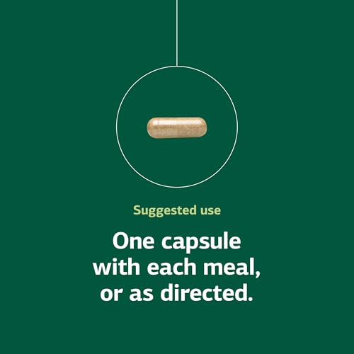 non-grain dietary supplement for wellness
