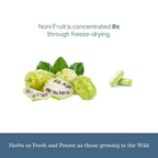 Noni capsules for overall health benefits