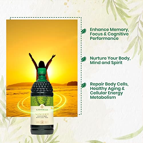 noni drink for natural energy