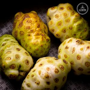 Noni fruit powder for smoothies