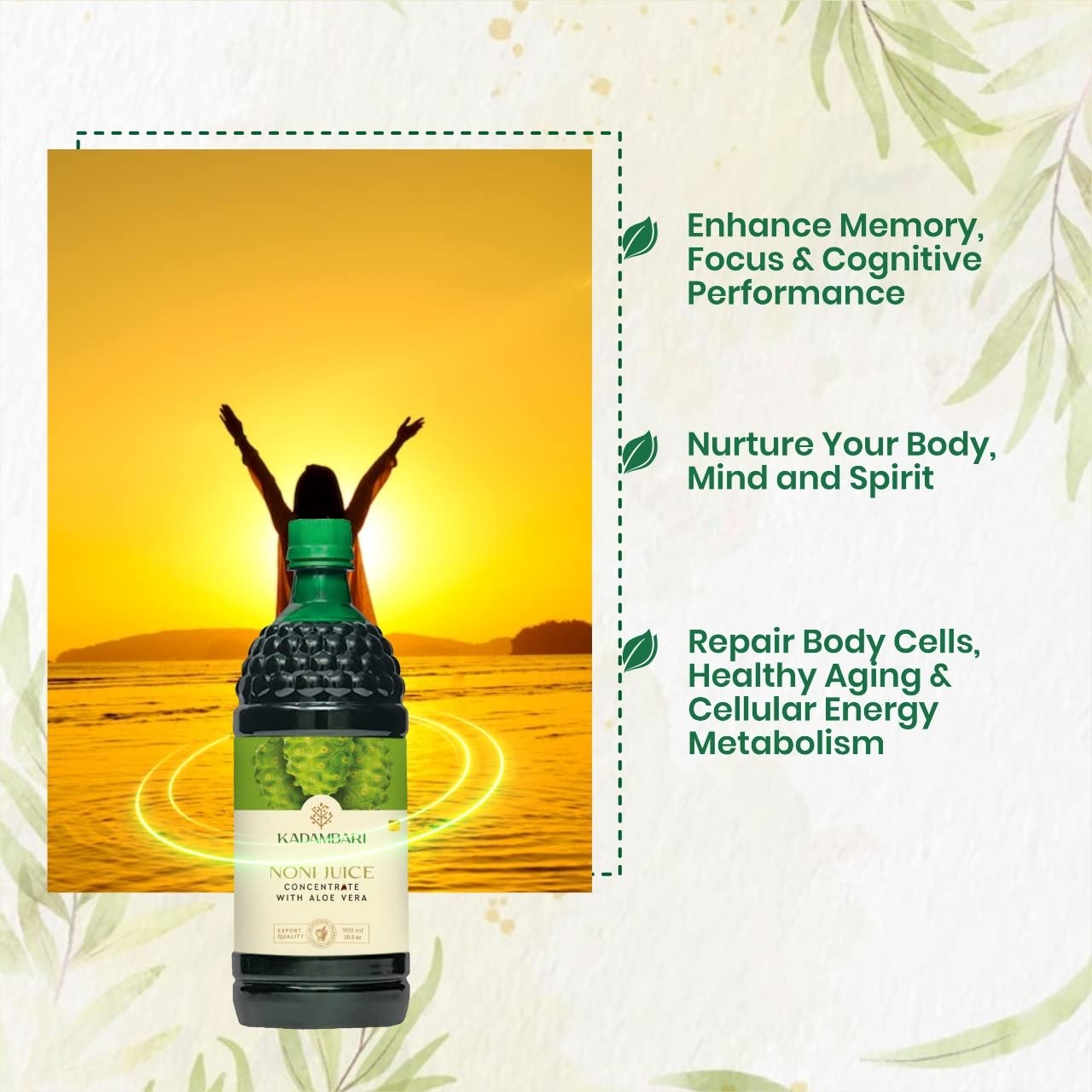 noni juice for immune health
