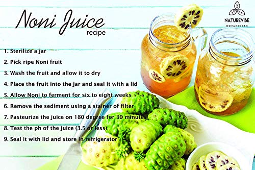 noni powder for holistic health
