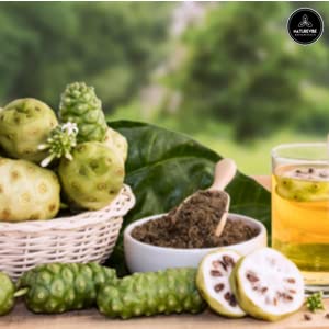noni powder for immune support
