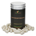 Noomadic DHM 300mg health benefits