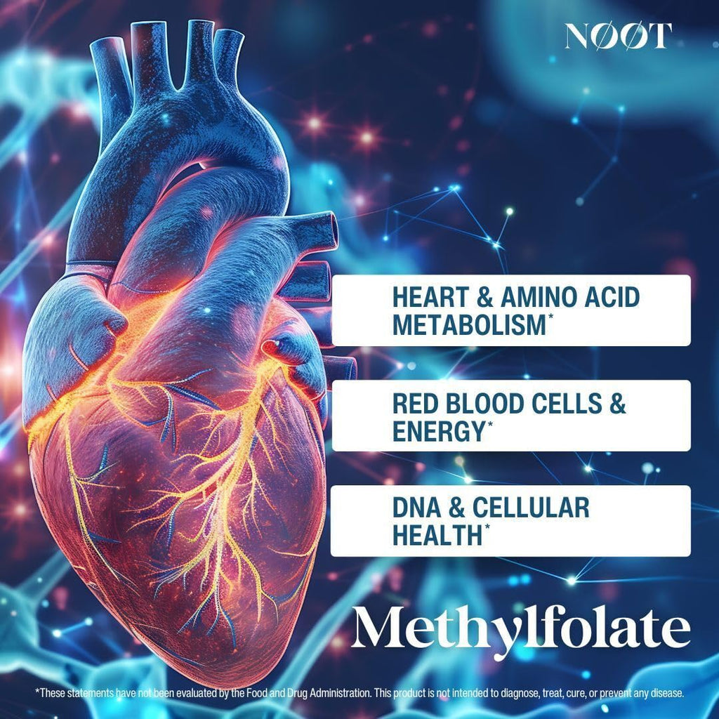 NOOT Organic Methylfolate for brain health