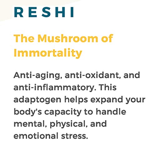nootropic benefits of mushroom coffee