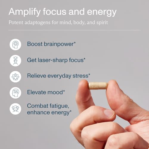 Nootropic blend for enhanced focus