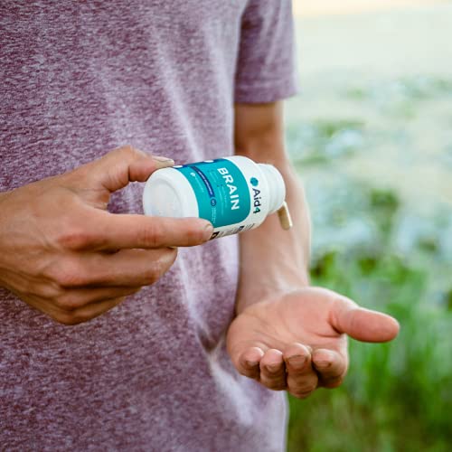 Nootropic blend for improved productivity
