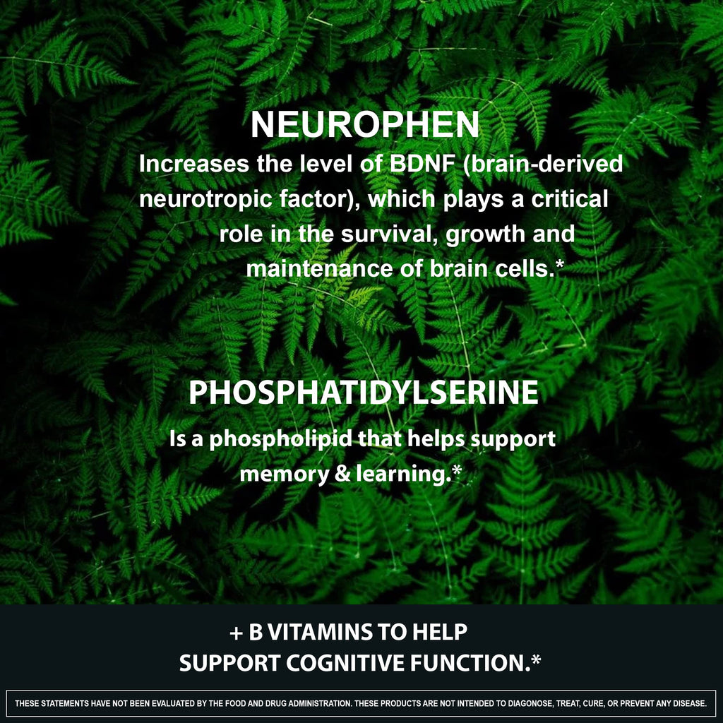 Nootropic blend for optimal brain function