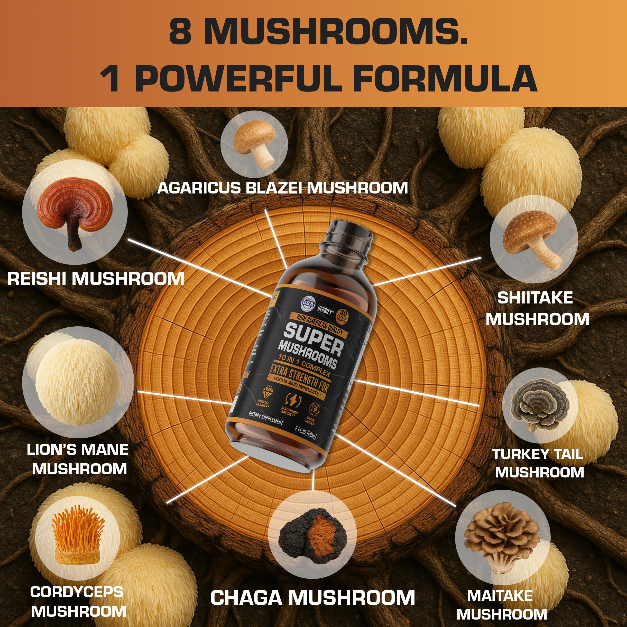 nootropic brain boost with mushrooms