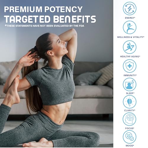 nootropic brain supplement with mushrooms