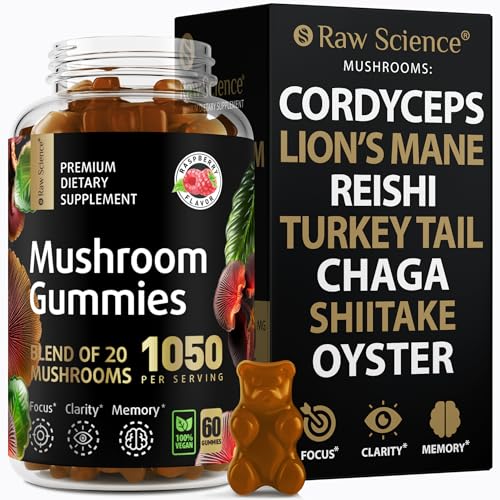 Nootropic brain supplement with mushrooms