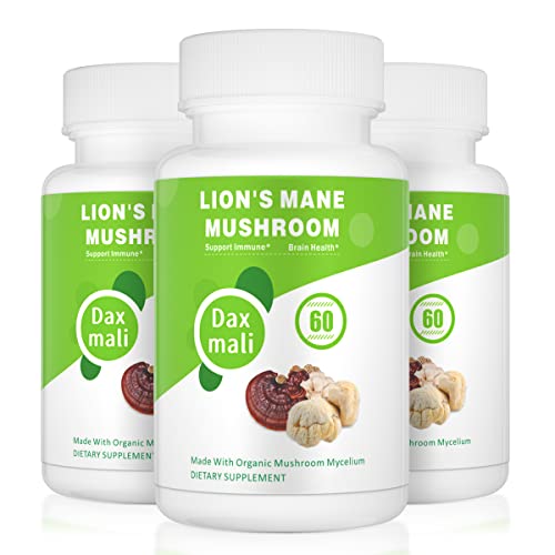 Nootropic brain supplement with mushrooms