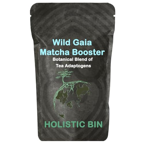Nootropic brain support supplement