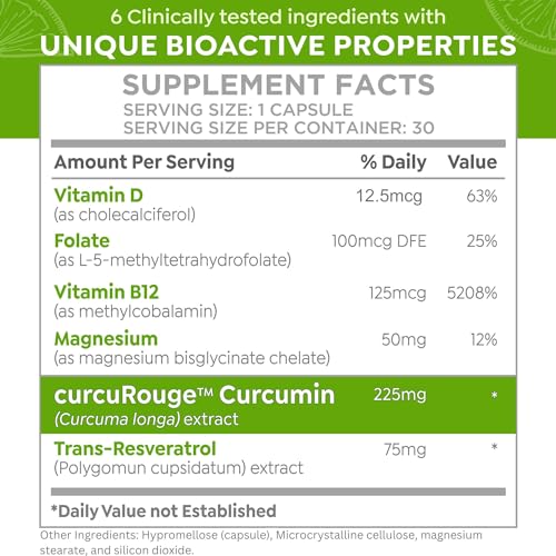 Nootropic brain support with curcumin
