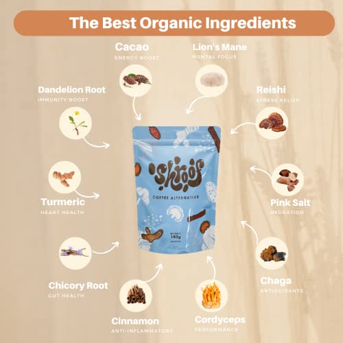 nootropic cacao for cognitive support