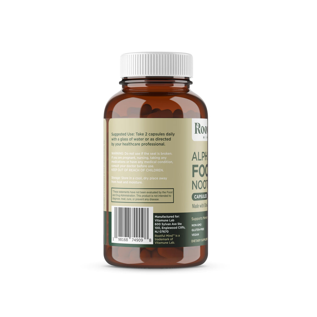 Nootropic capsules for busy lifestyles