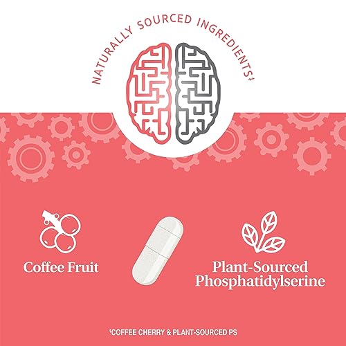 Nootropic capsules for cognitive support