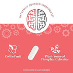 Nootropic capsules for cognitive support
