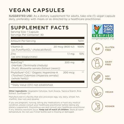 nootropic for healthy aging support