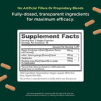 Nootropic formula for enhanced focus