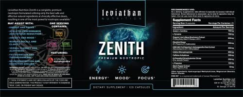 Nootropic formula for improved productivity