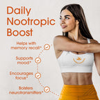 Nootropic ginkgo biloba benefits