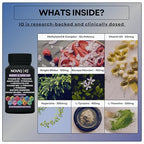 Nootropic multivitamin for cognitive support