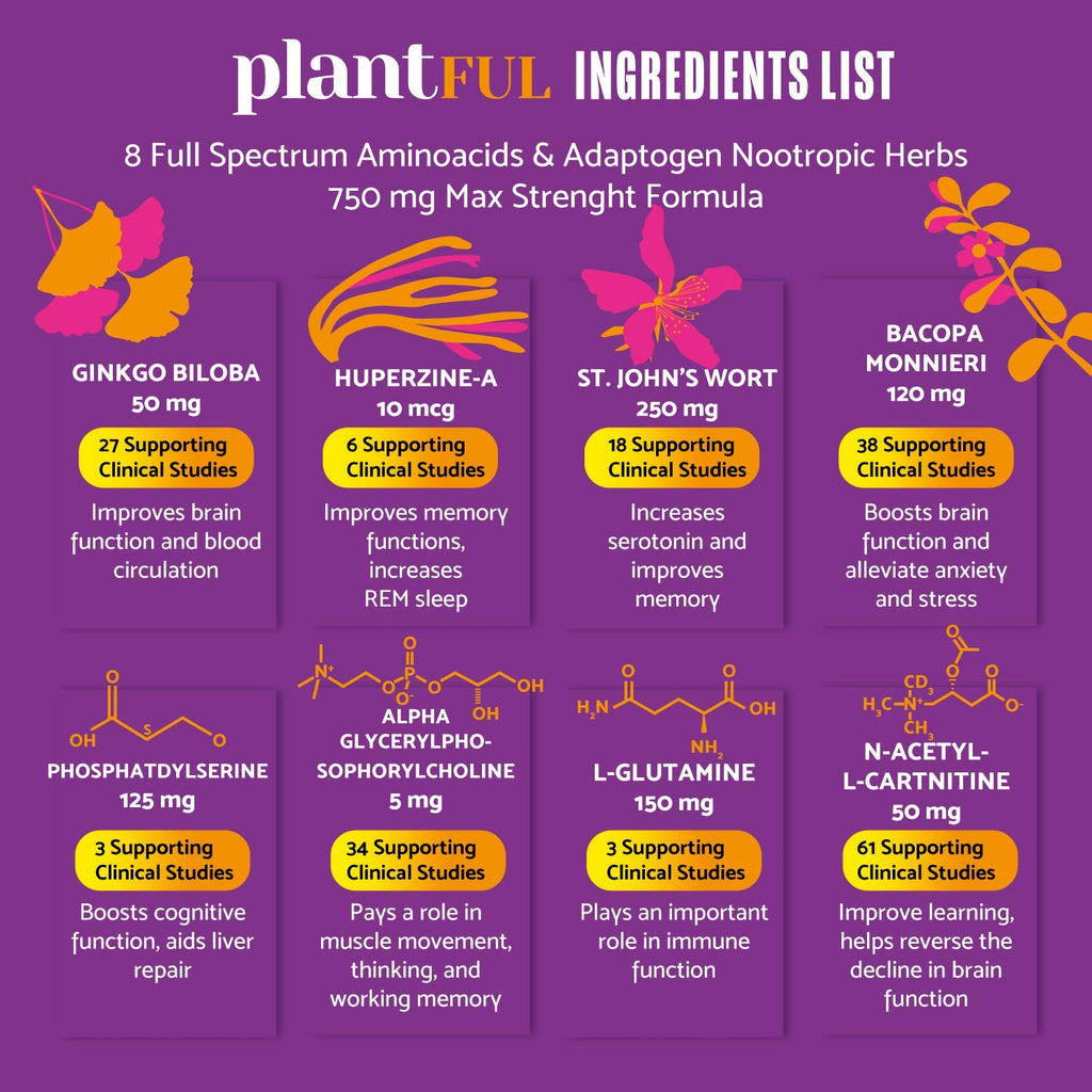 Nootropic multivitamin for men’s wellness
