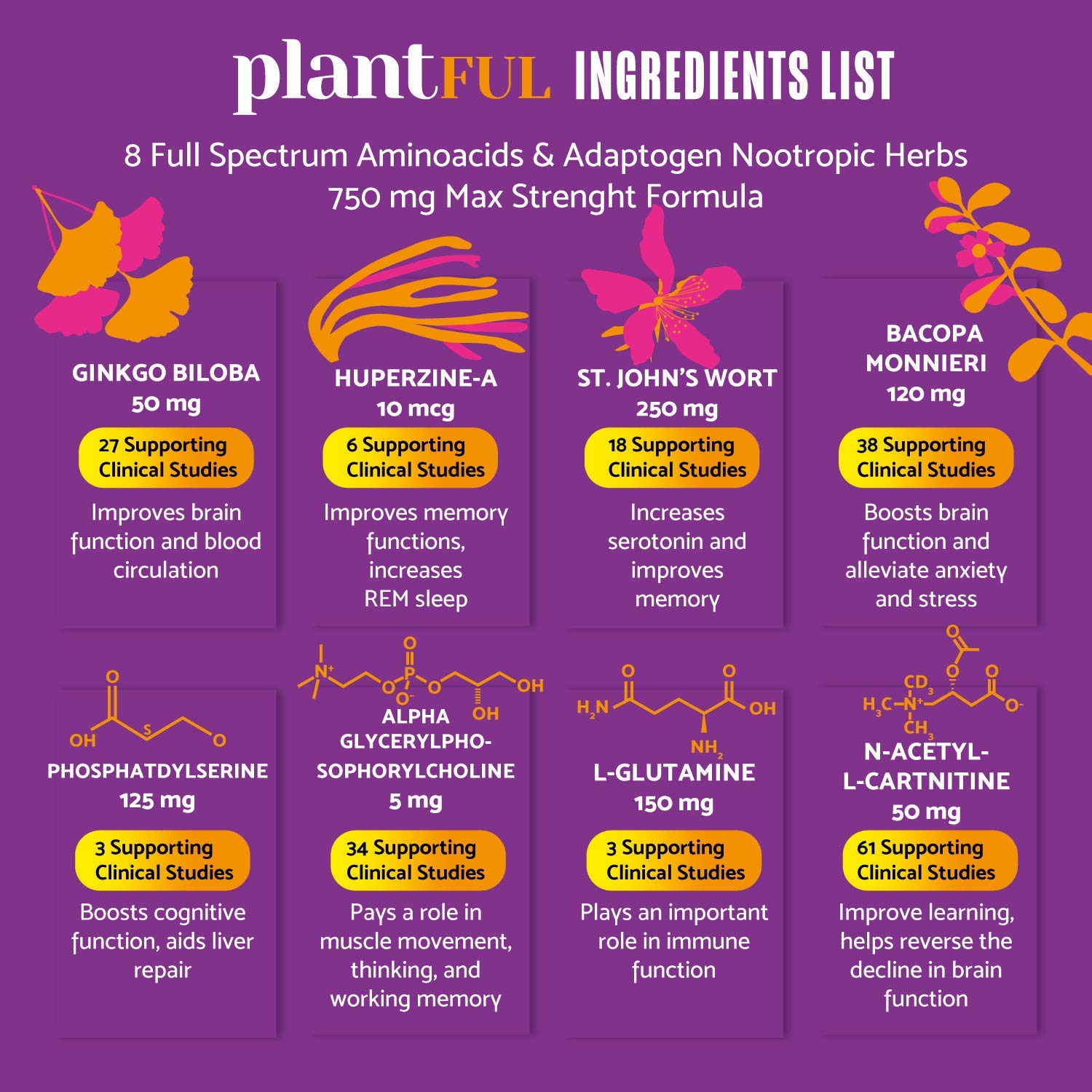 Nootropic multivitamin for men’s wellness