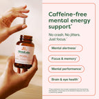 Nootropic multivitamins for enhanced focus