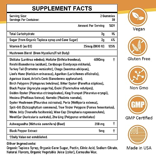 Nootropic mushroom blend for cognitive support