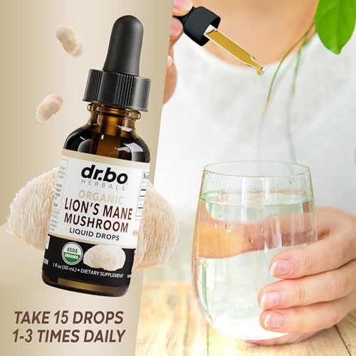 Nootropic mushroom extract for energy
