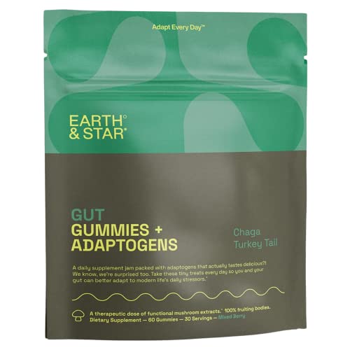 Nootropic mushroom supplement for digestion