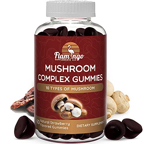 Nootropic mushroom supplement for focus