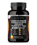 Nootropic mushroom supplement for focus
