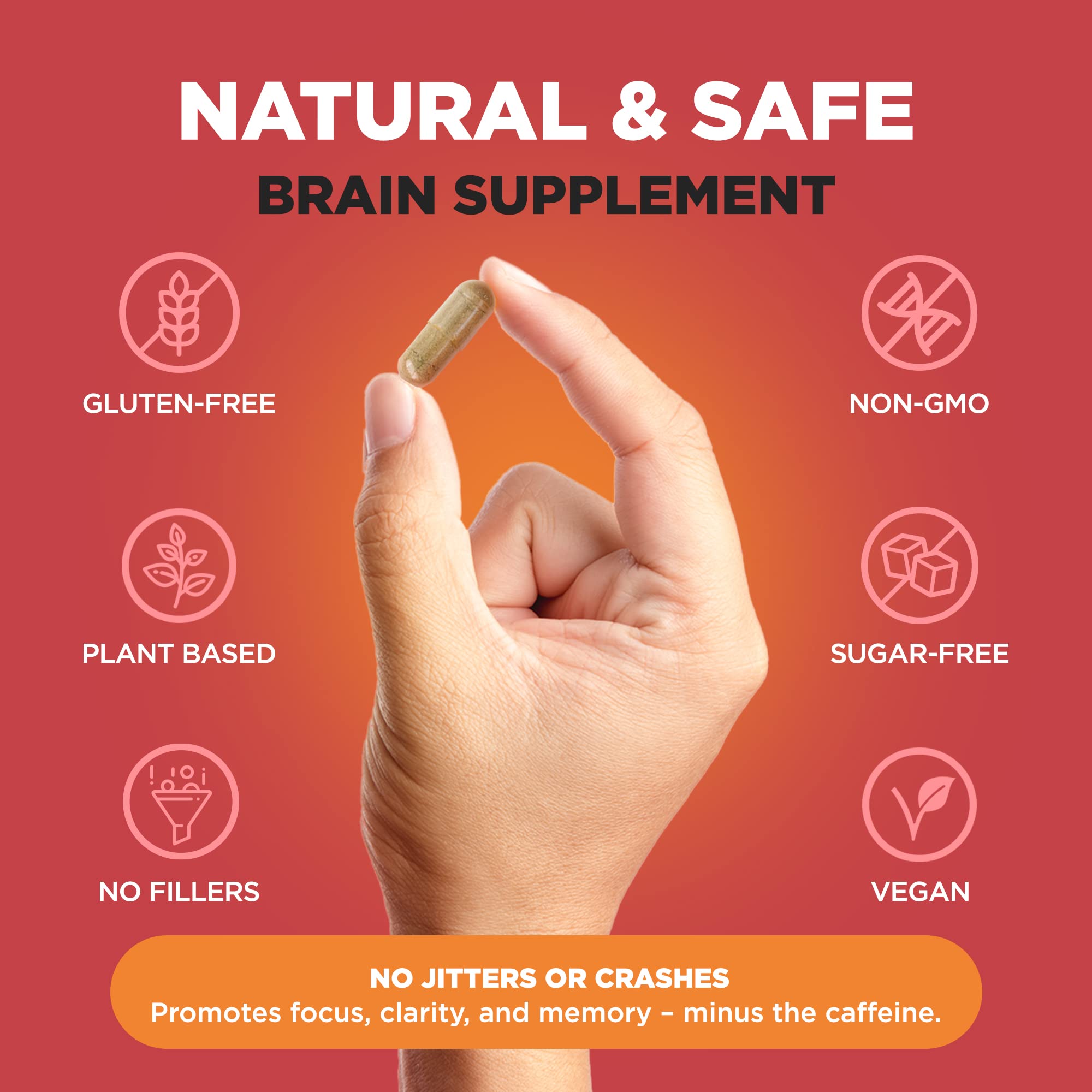 Nootropic mushrooms for cognitive function