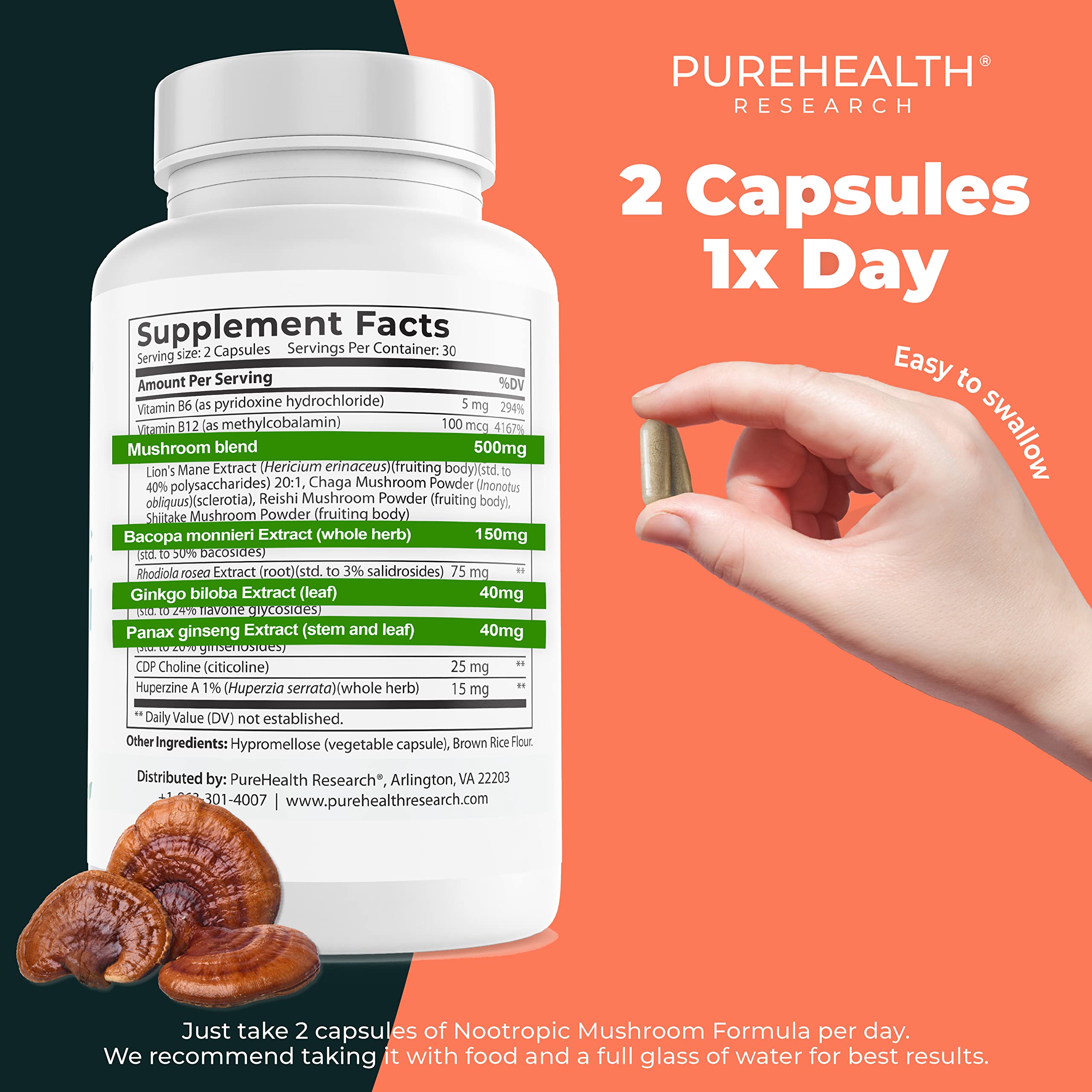 Nootropic mushrooms for daily energy