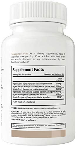 nootropic mushrooms for memory enhancement