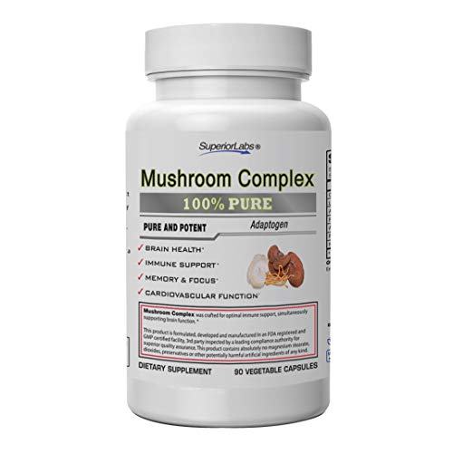 Nootropic mushrooms for mental clarity