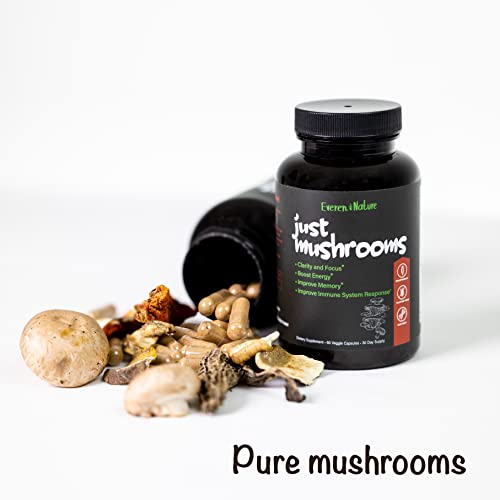 nootropic mushrooms for mental health
