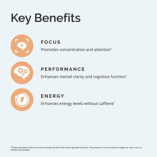 Nootropic powder for enhanced focus