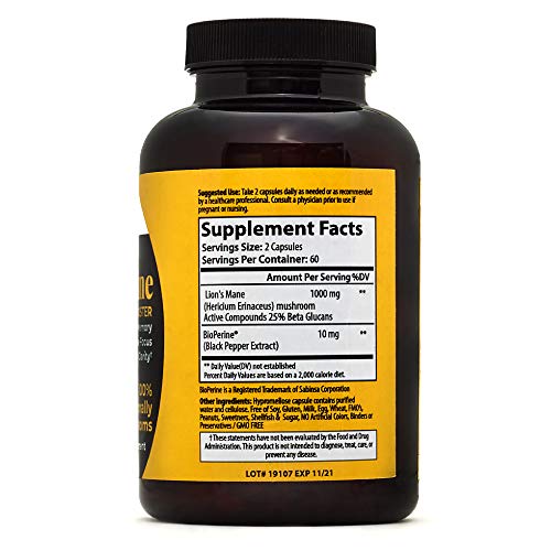 nootropic supplement with BioPerine