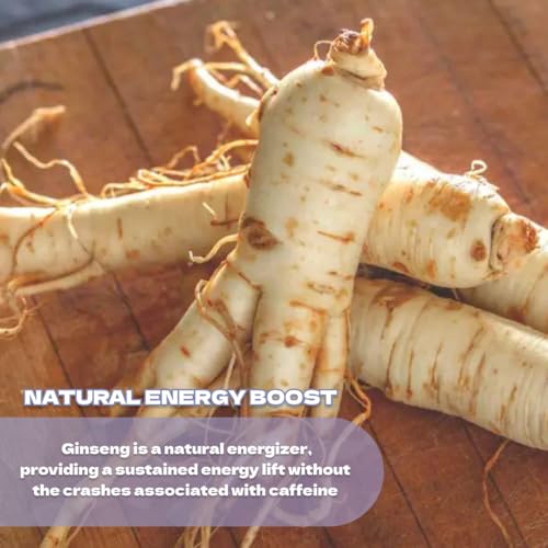 Nootropic support for busy lifestyles